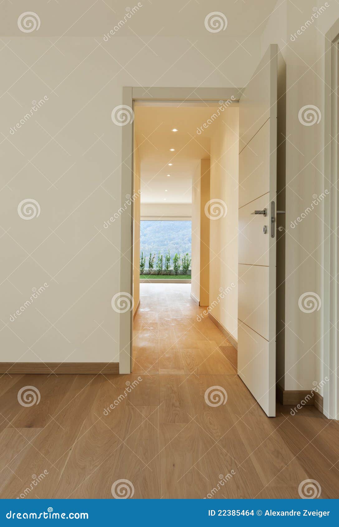 Corridor, Open Doors Royalty-Free Stock Photo | CartoonDealer.com #22372683