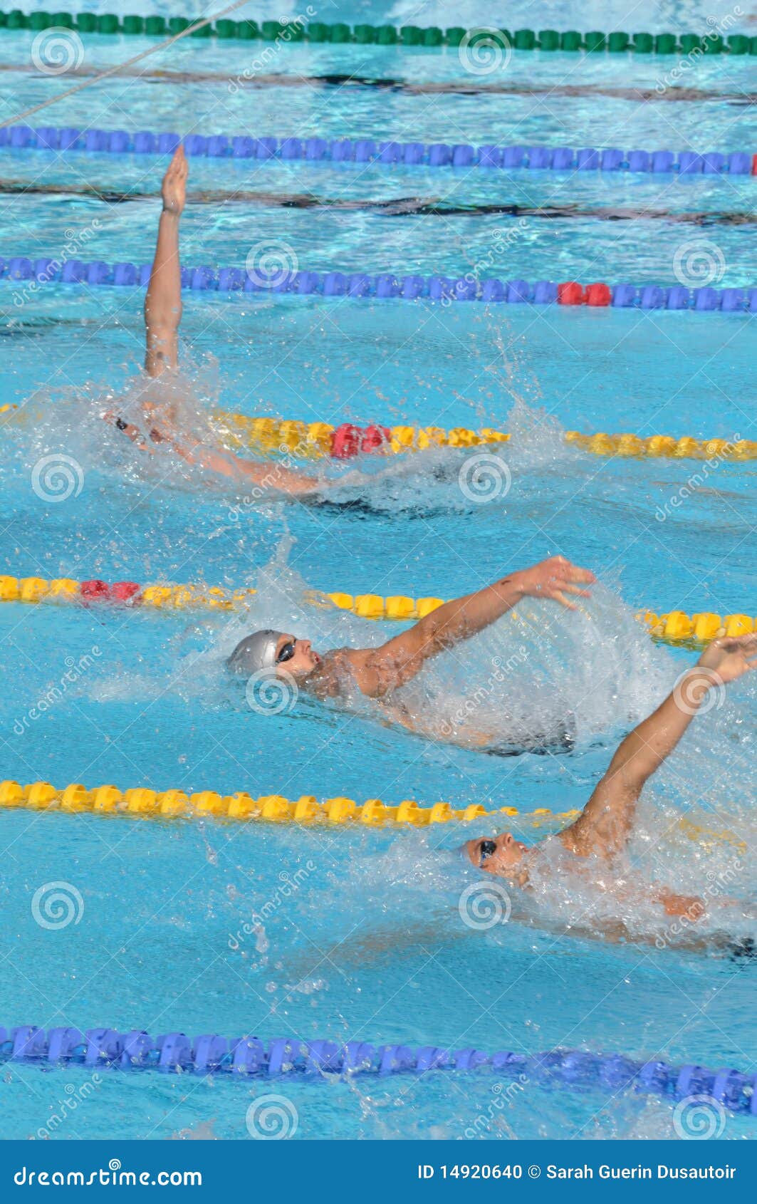 Open EDF 2010, Back Crawl Swimmers Editorial Image - Image of wetsuits ...