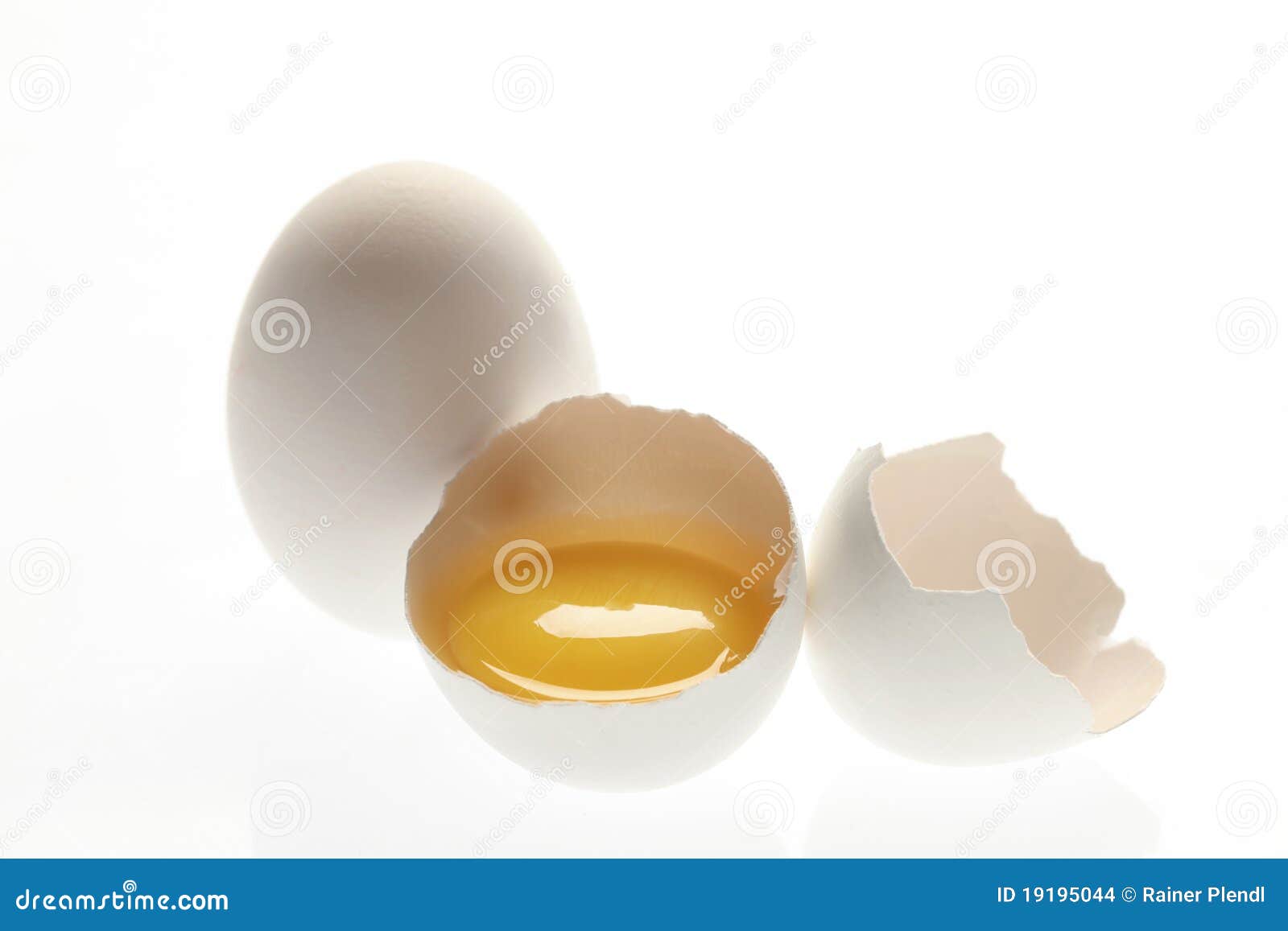 Open egg stock photo. Image of white, food, open, yellow - 19195044