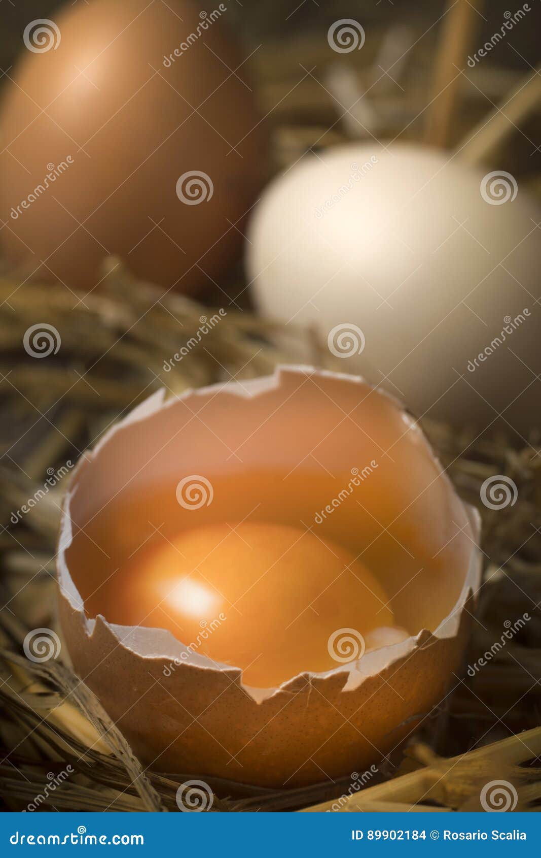Open eggs on straw stock photo. Image of poultry, food - 89902184