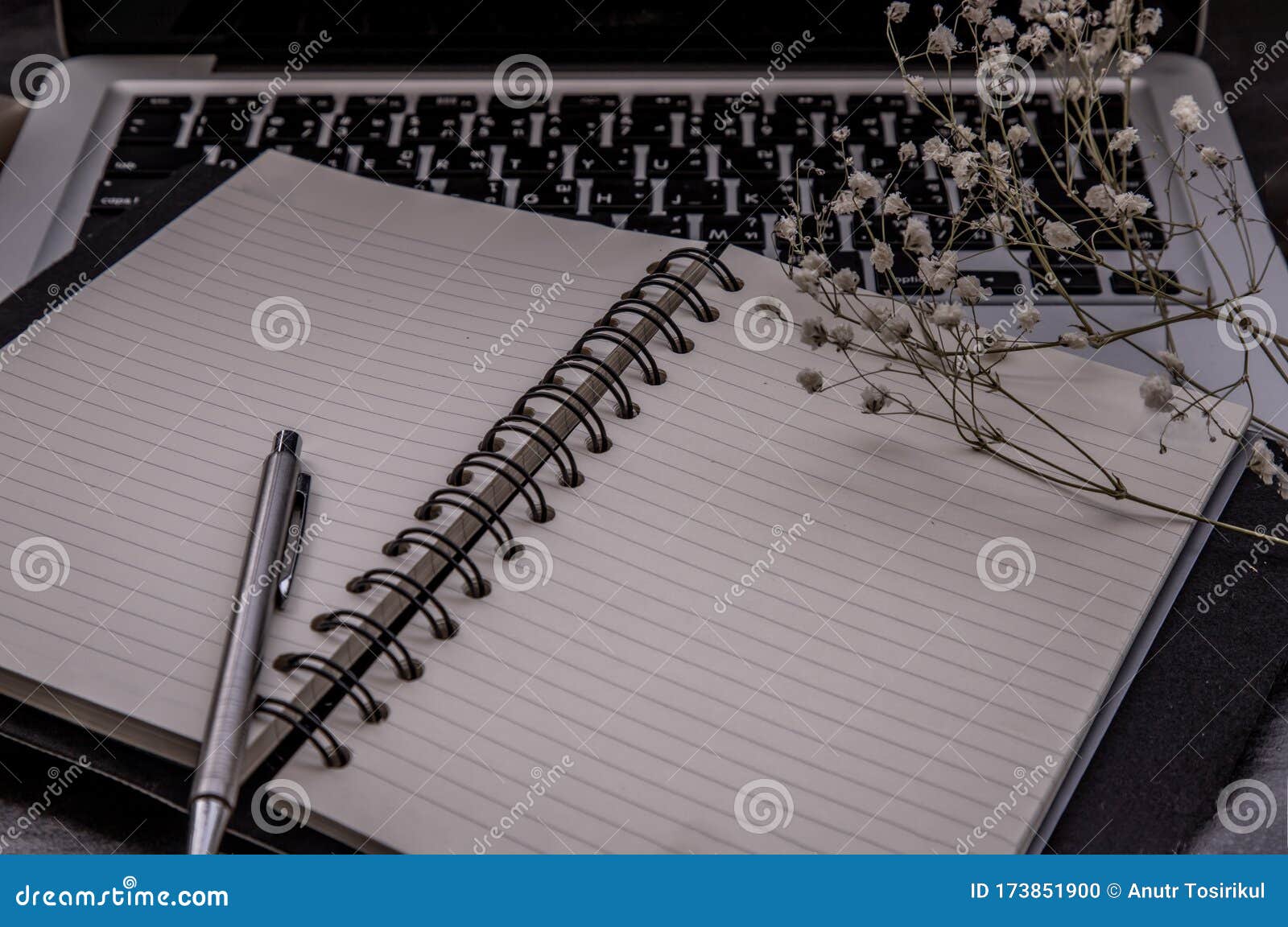 Open Empty Blank Notebook Organizer with Pen for Planning Work on ...