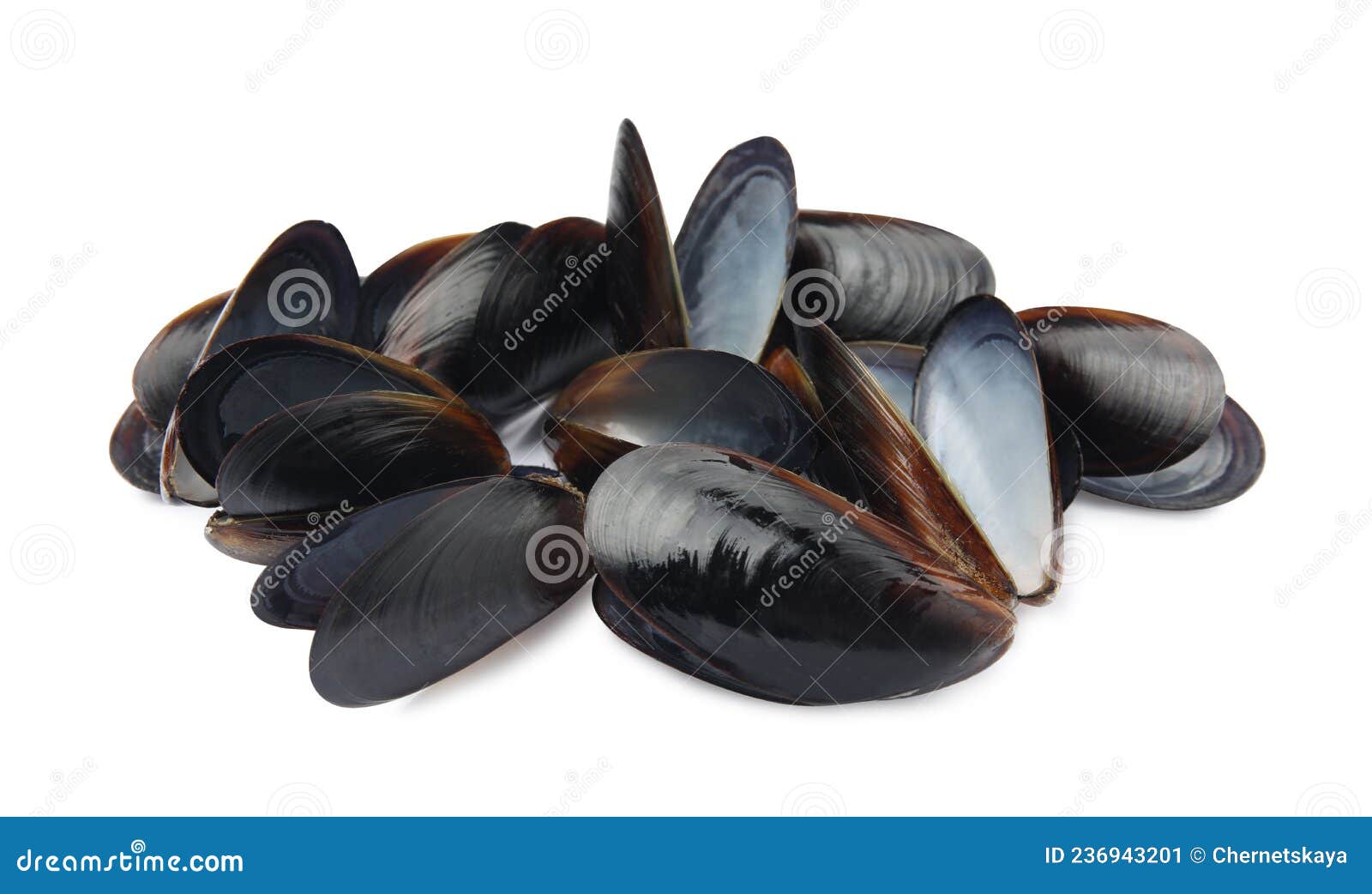 Open Empty Mussel Shells on White Background Stock Image - Image of ...