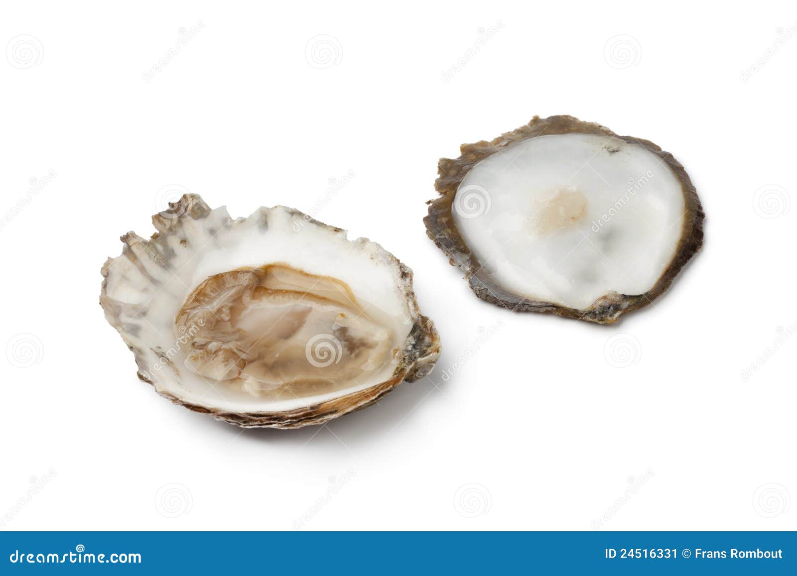 2,361 Open Flat Shell Stock Photos - Free & Royalty-Free Stock Photos ...