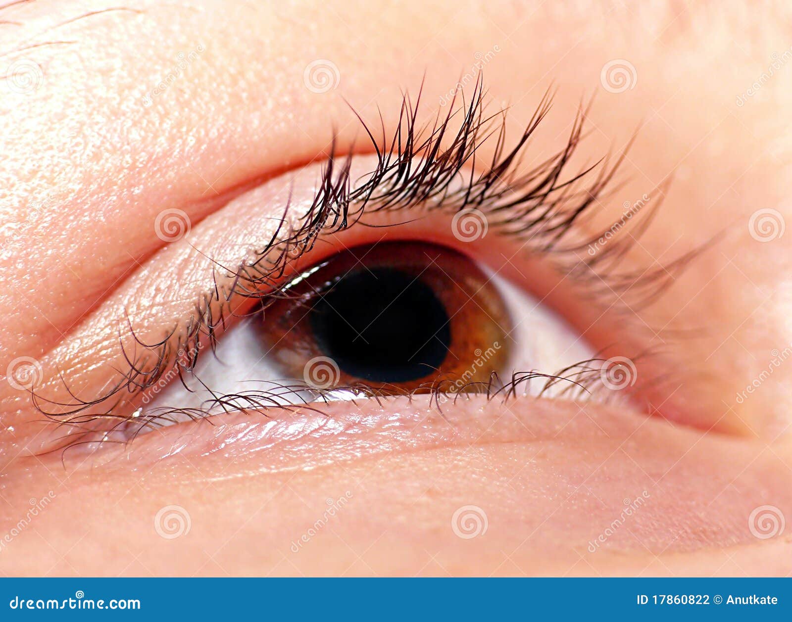 Open eye stock photo. Image of pupil, eyelash, look, iris - 17860822