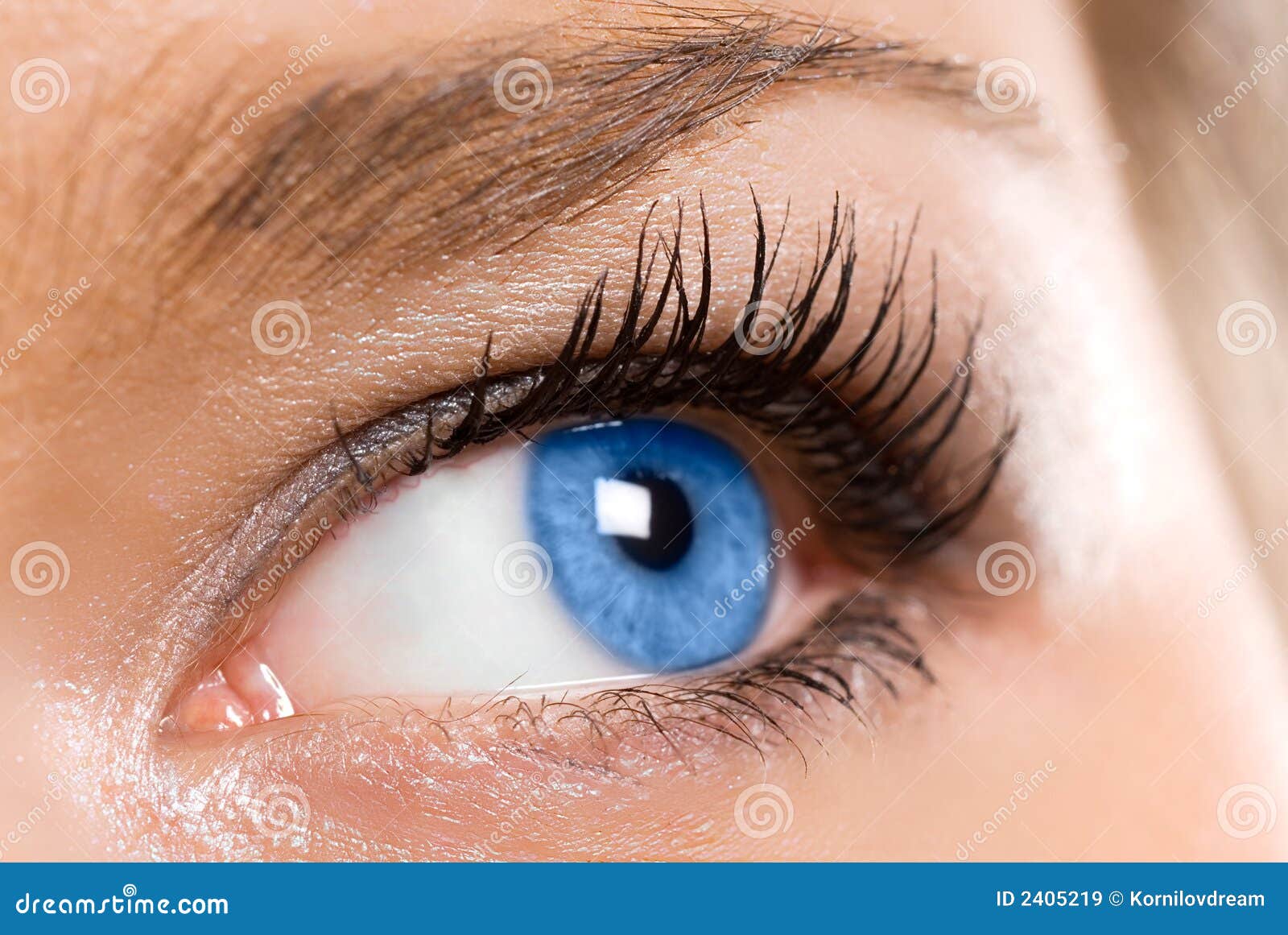 Open eye stock image. Image of observe, eyesight, eyelids - 2405219