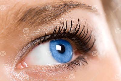 Open eye stock image. Image of observe, eyesight, eyelids - 2405219