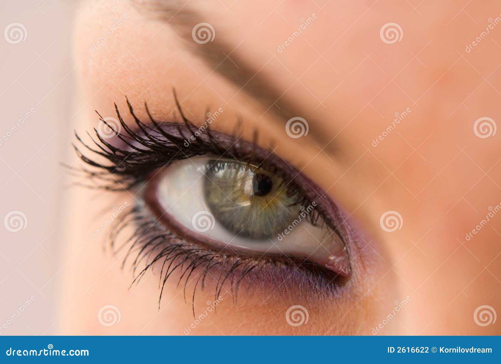 Open eye stock photo. Image of orbital, eyeball, notice - 2616622