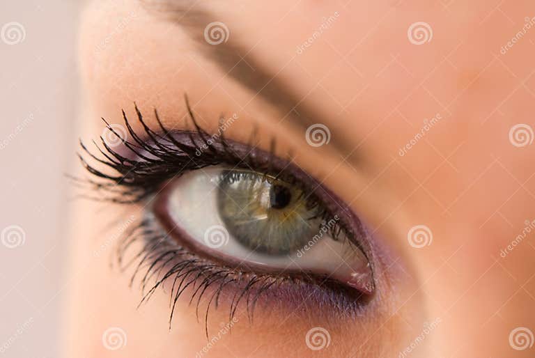 Open eye stock photo. Image of orbital, eyeball, notice - 2616622