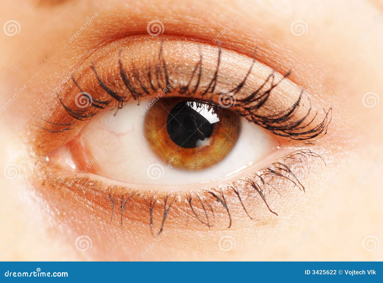 A open eye stock photo. Image of open, eyelashes, lashes - 3425622
