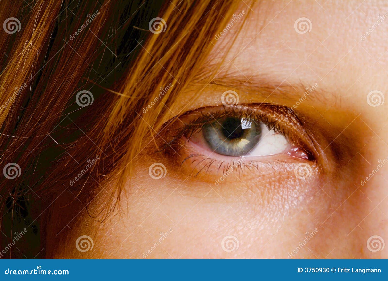 Open eye stock photo. Image of astonished, look, alert - 3750930