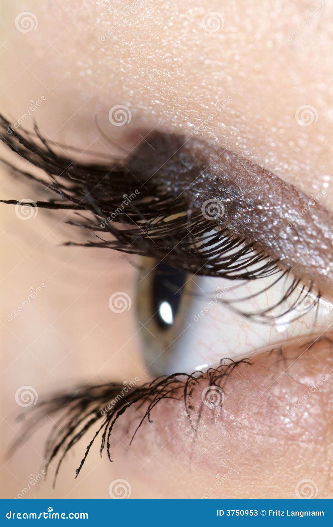 Open eye stock image. Image of look, eyeball, control - 3750953