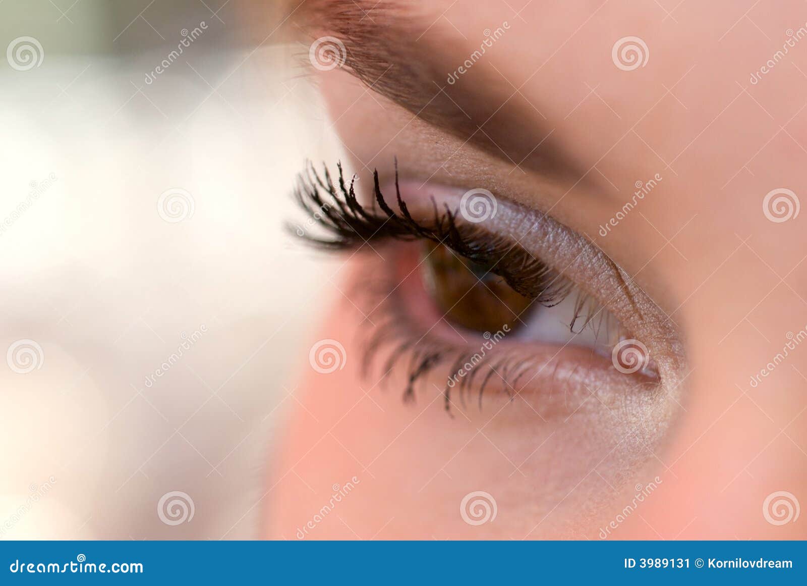 Open eye stock image. Image of faces, look, humans, eyelashes - 3989131