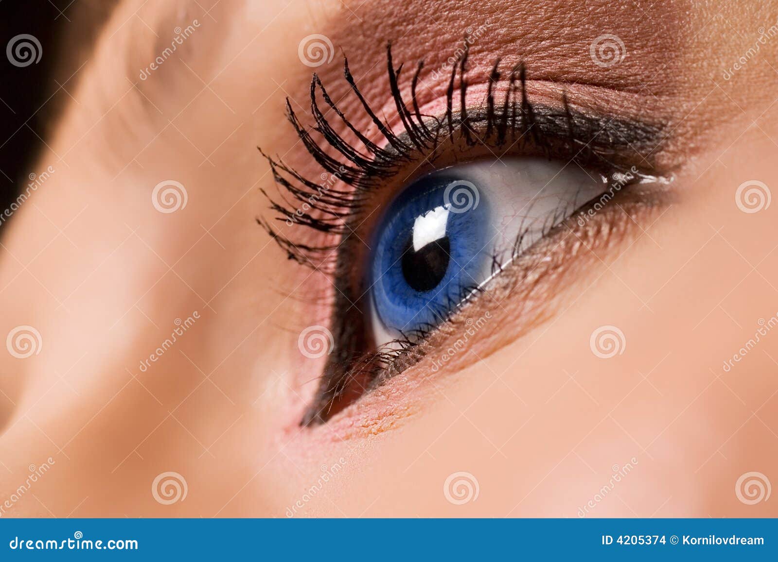 Open eye stock photo. Image of dilate, fixed, blue, humans - 4205374