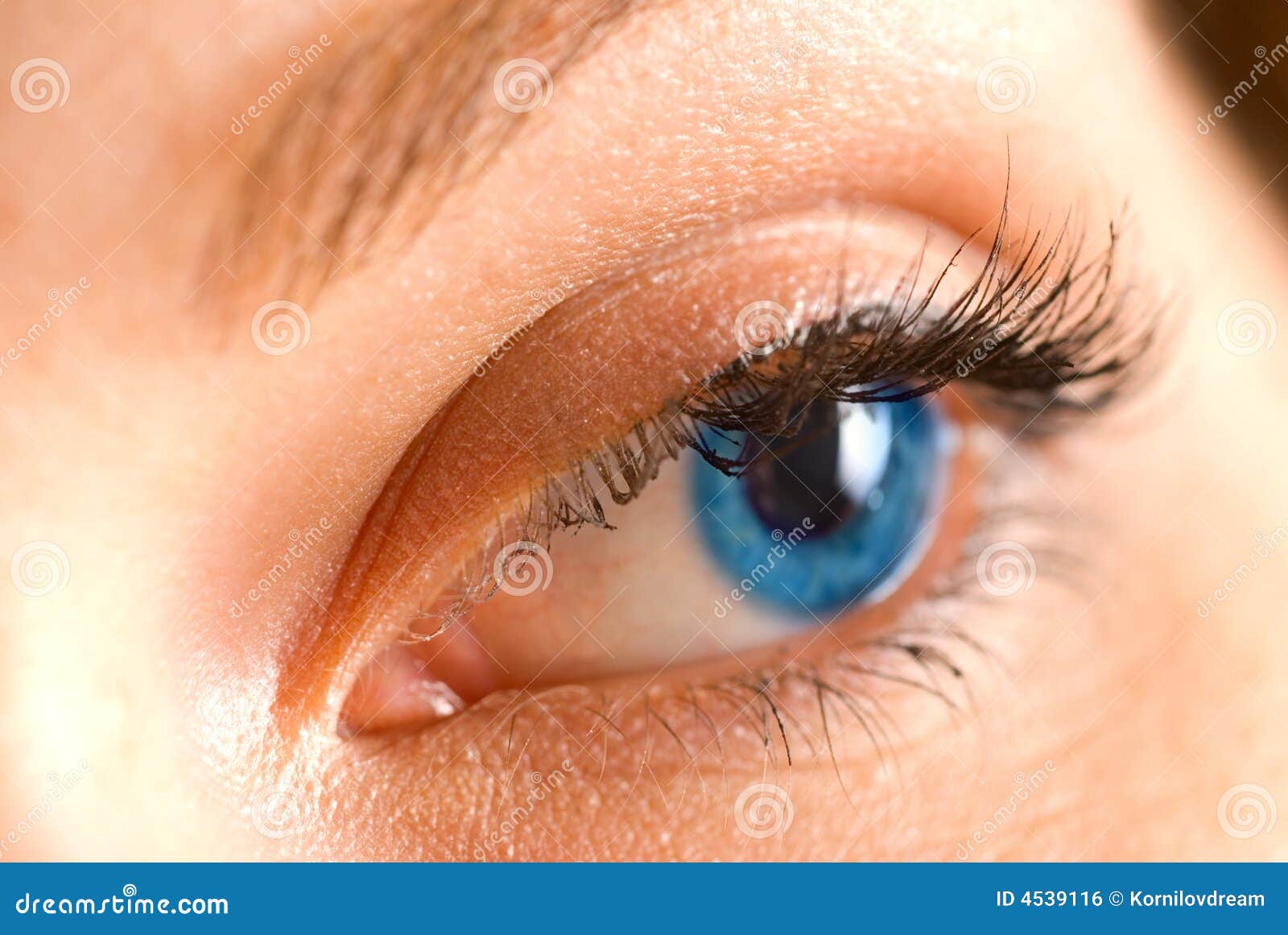 Open eye stock photo. Image of lashes, human, medic, macro - 4539116