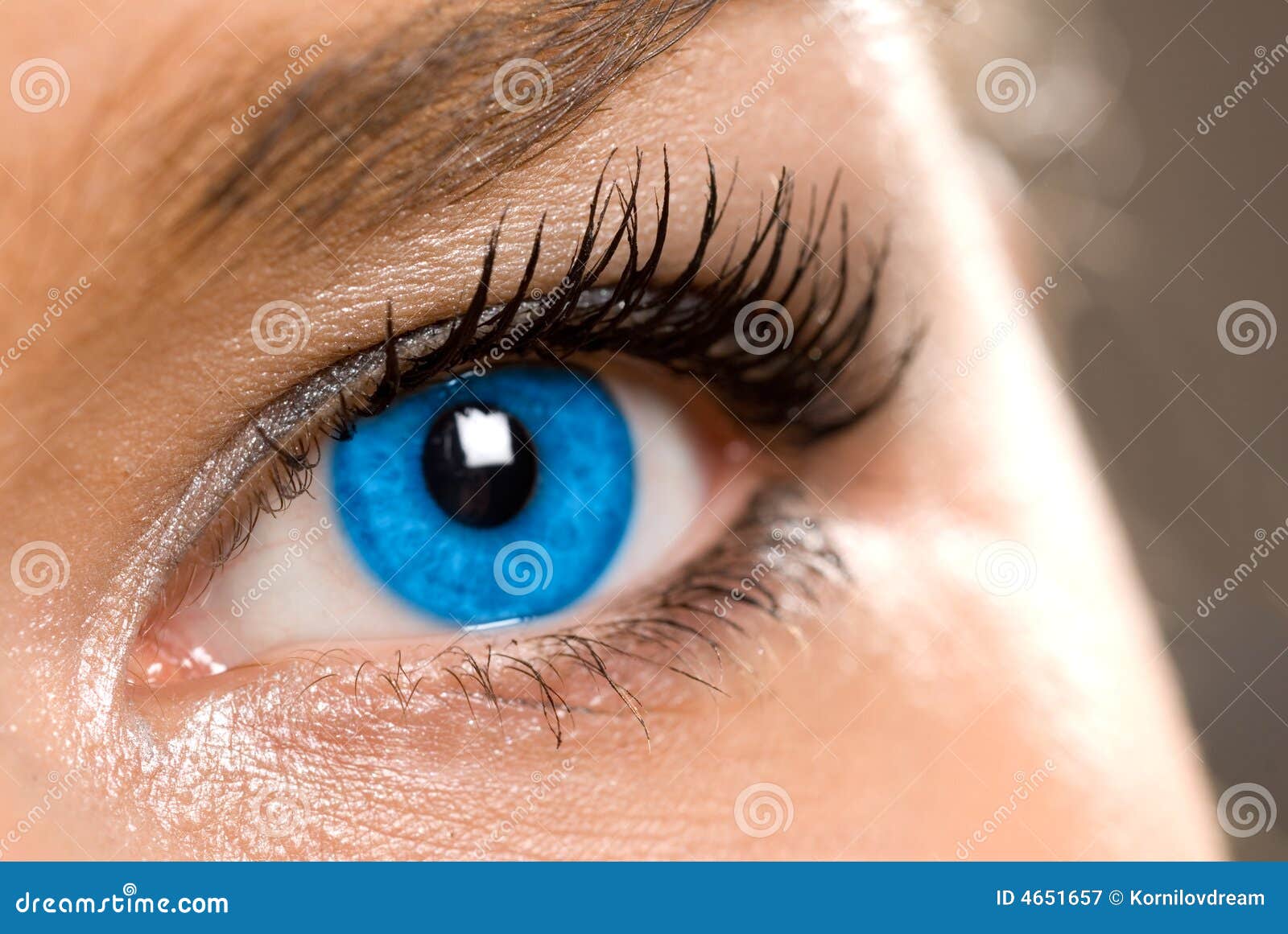 Open eye stock image. Image of look, lashes, medicine - 4651657