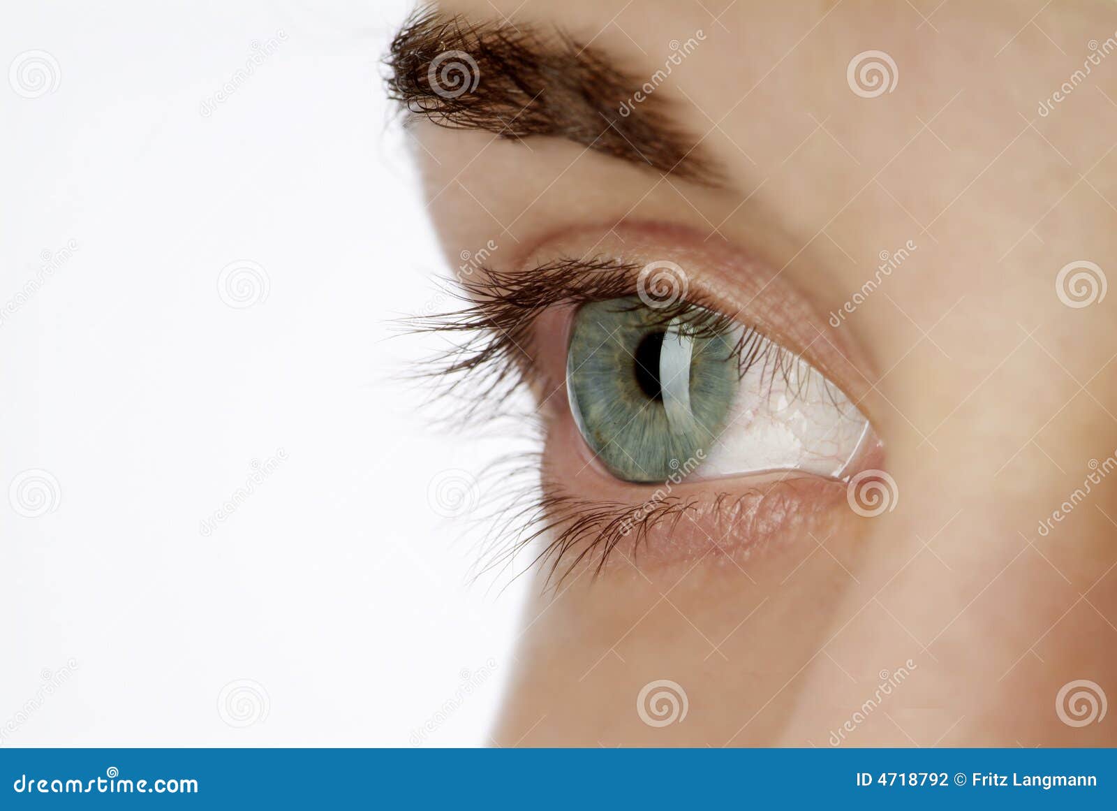 Open eye stock photo. Image of iris, eyeball, gaze, opened - 4718792