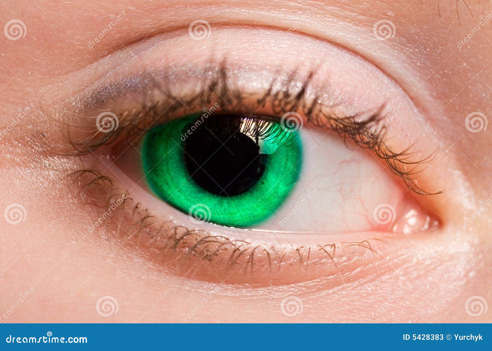 Open eye stock image. Image of inspect, hole, body, notice - 5428383