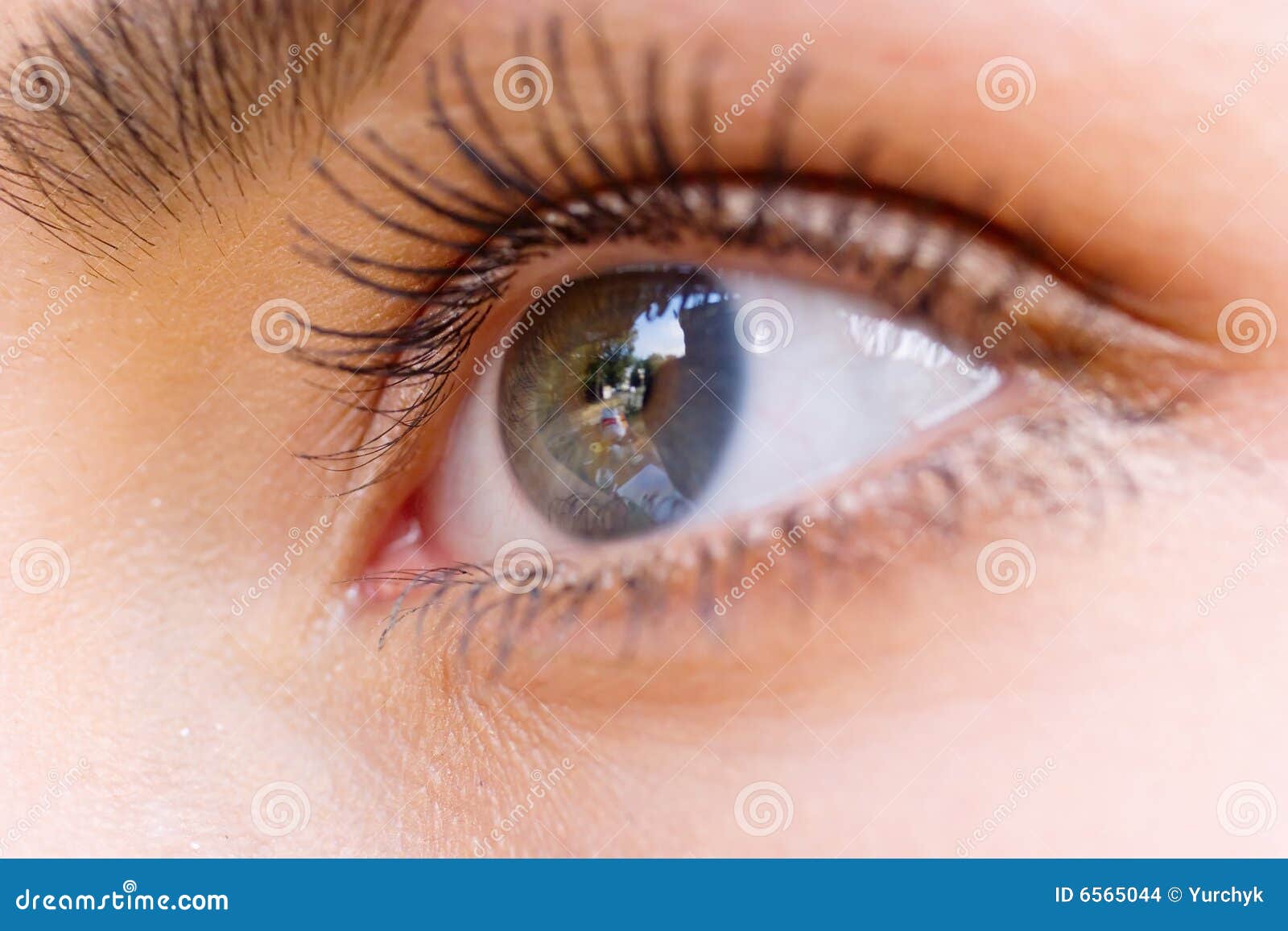 Open eye stock photo. Image of eyebrows, medic, fixed - 6565044