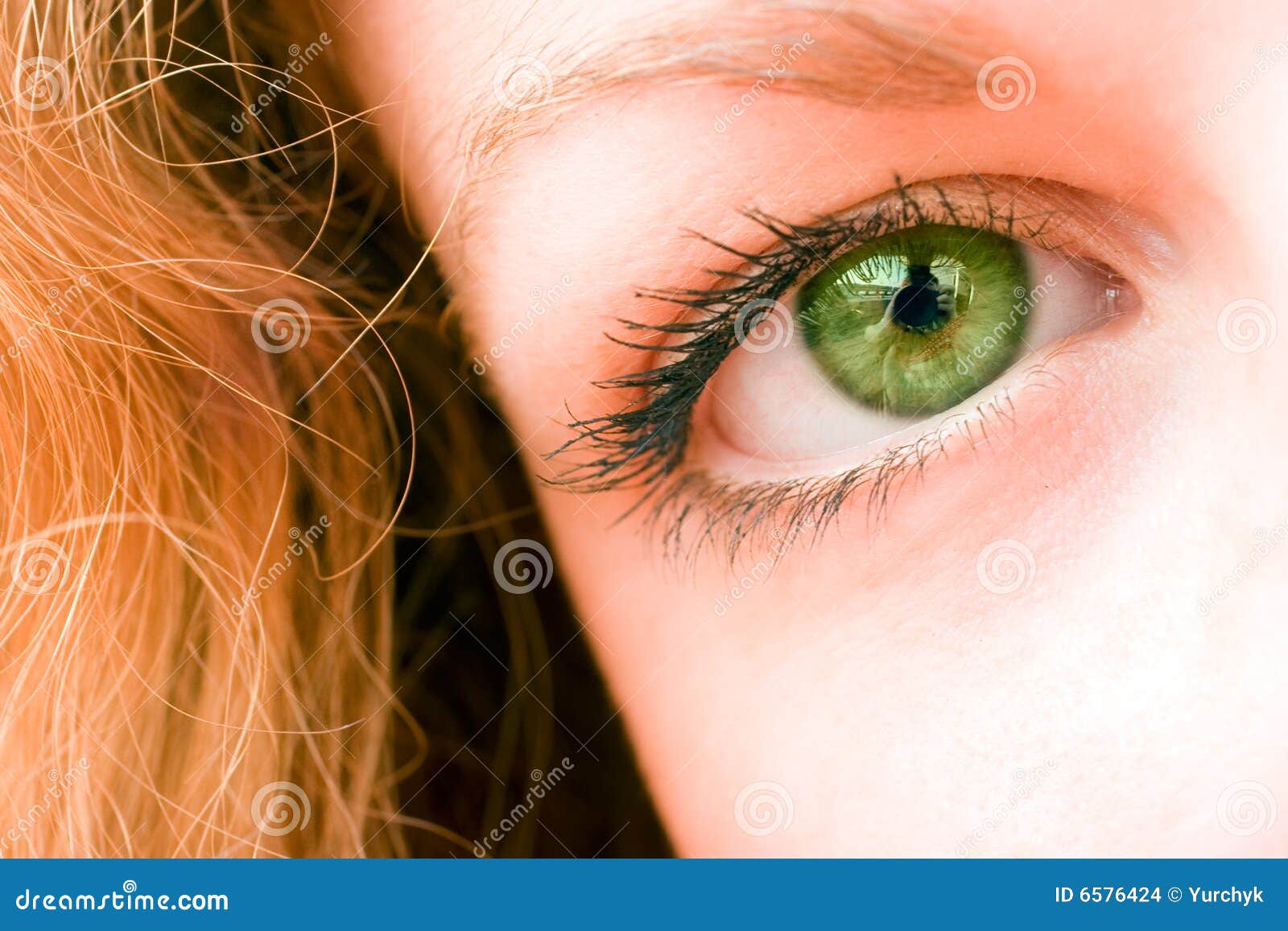 Open eye stock photo. Image of eyelids, look, human, body - 6576424