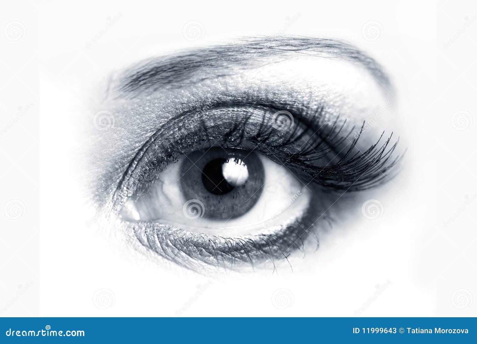Open eye closeup stock image. Image of eyelashes, iris - 11999643
