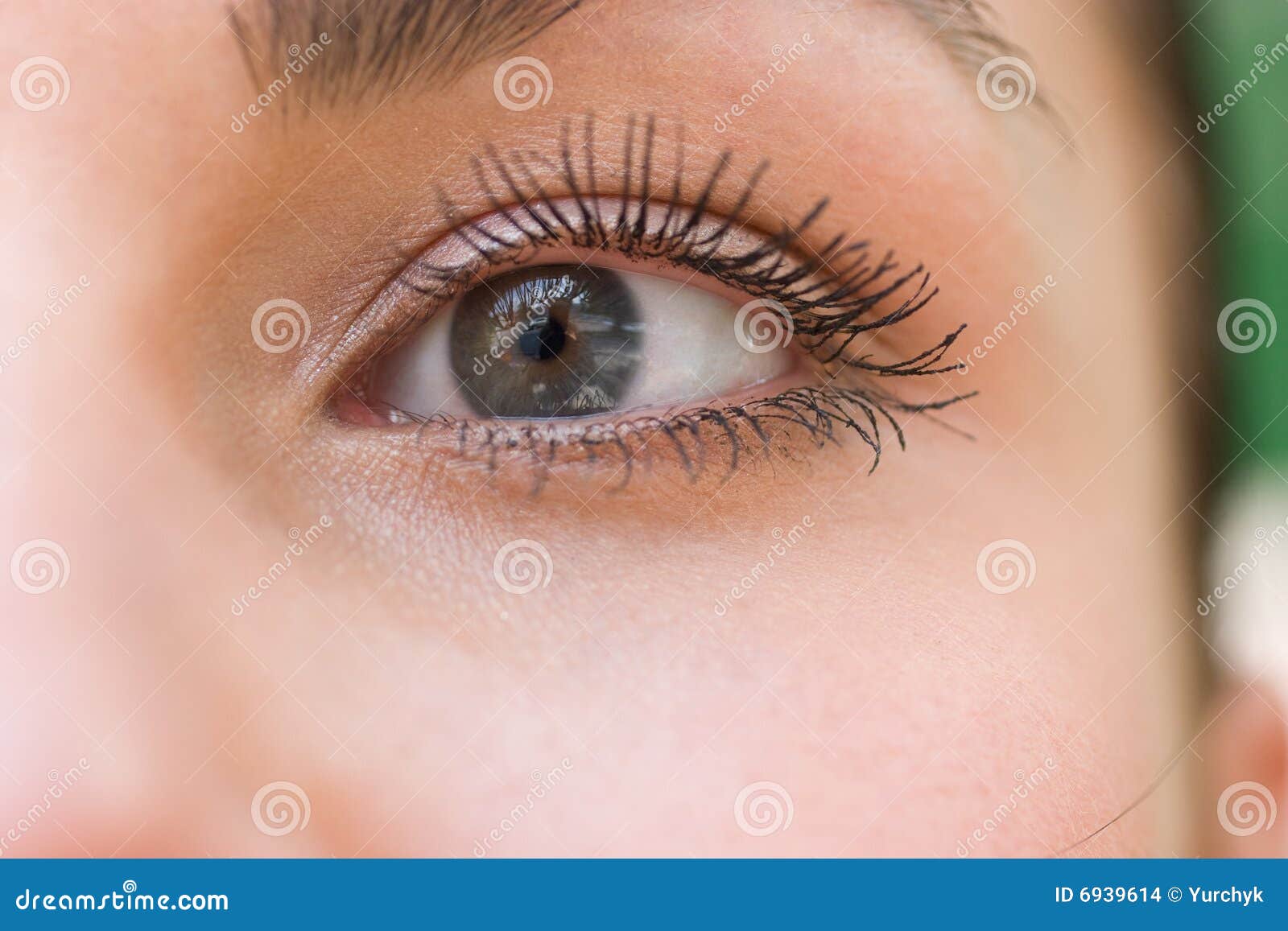 Open eye closeup stock photo. Image of eyelids, looking - 6939614