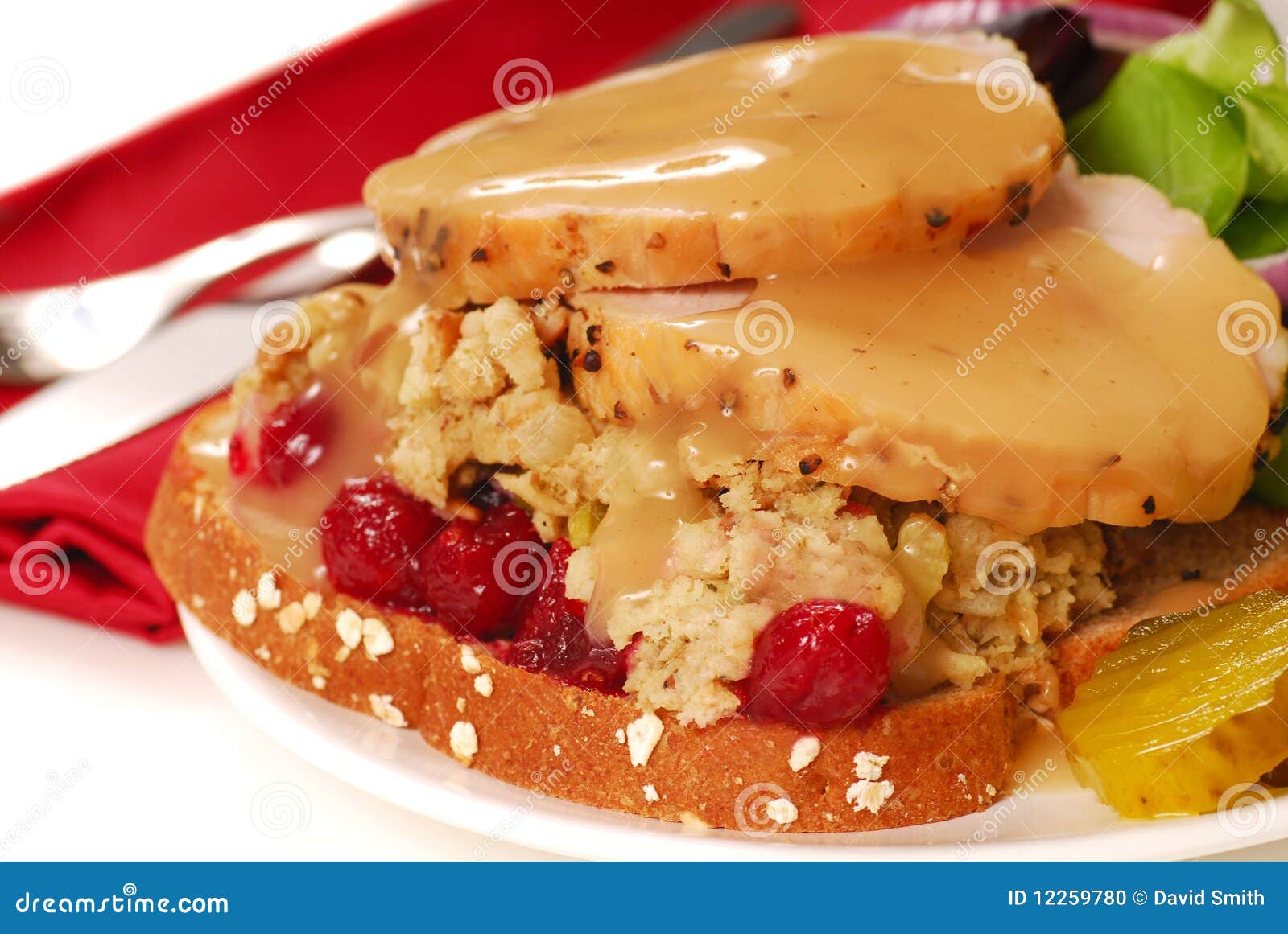 Open faced turkey sandwich stock photo. Image of nutritious - 12259780