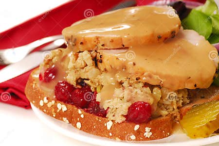 Open faced turkey sandwich stock photo. Image of nutritious - 12259780