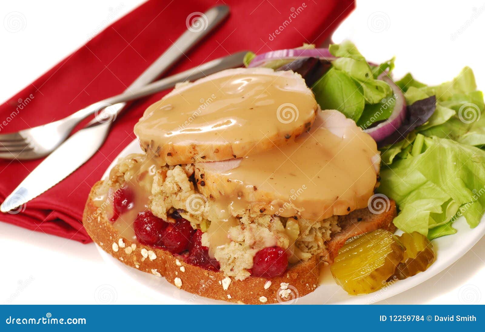 Open faced turkey sandwich stock photo. Image of meat - 12259784