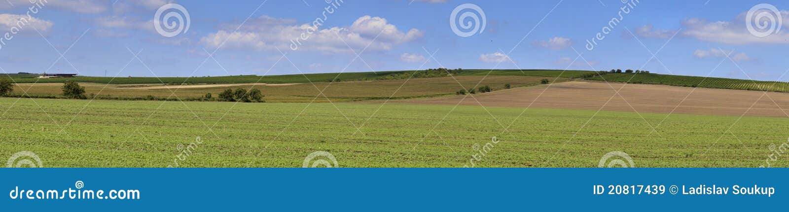 Open farm field stock image. Image of wide, rural, open - 20817439