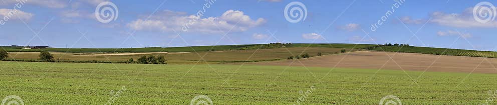Open farm field stock image. Image of wide, rural, open - 20817439