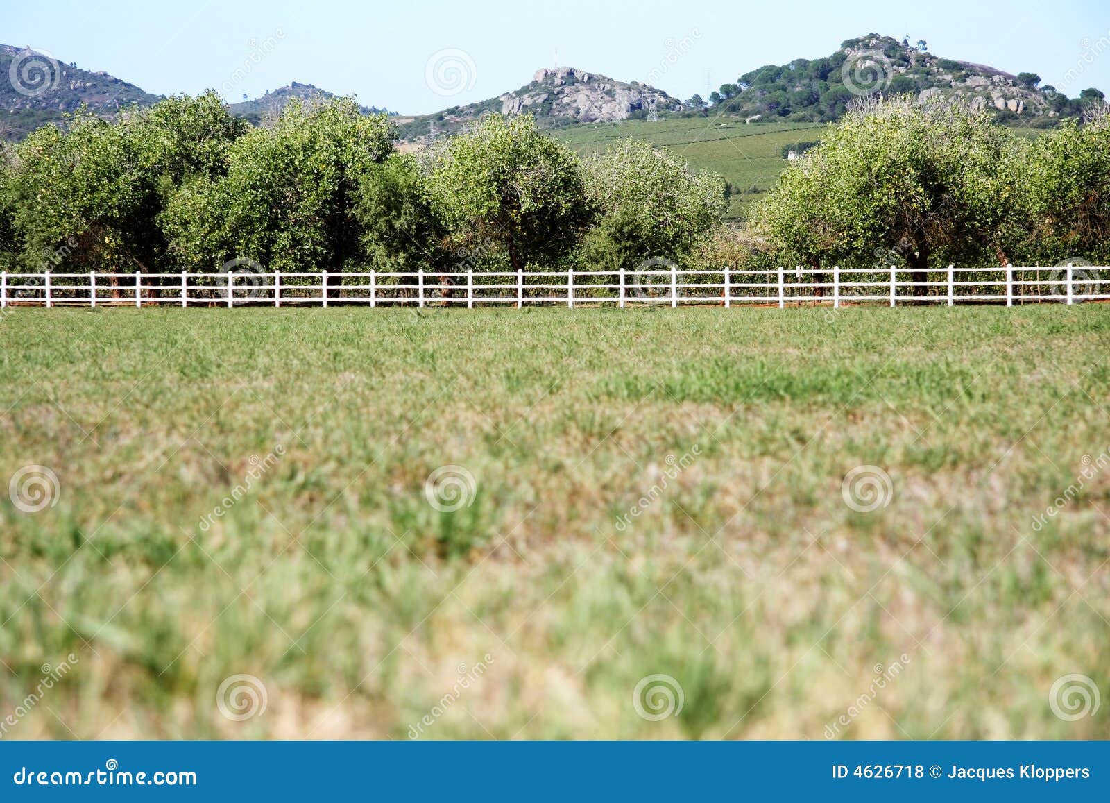 Open farm field stock photo. Image of scenic, agricultural - 4626718