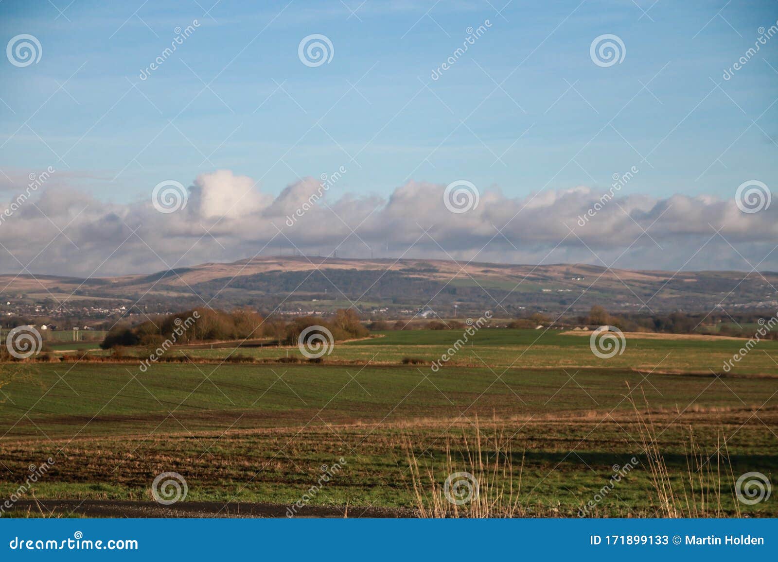 Open farm fields stock image. Image of wildlife, hedges - 171899133