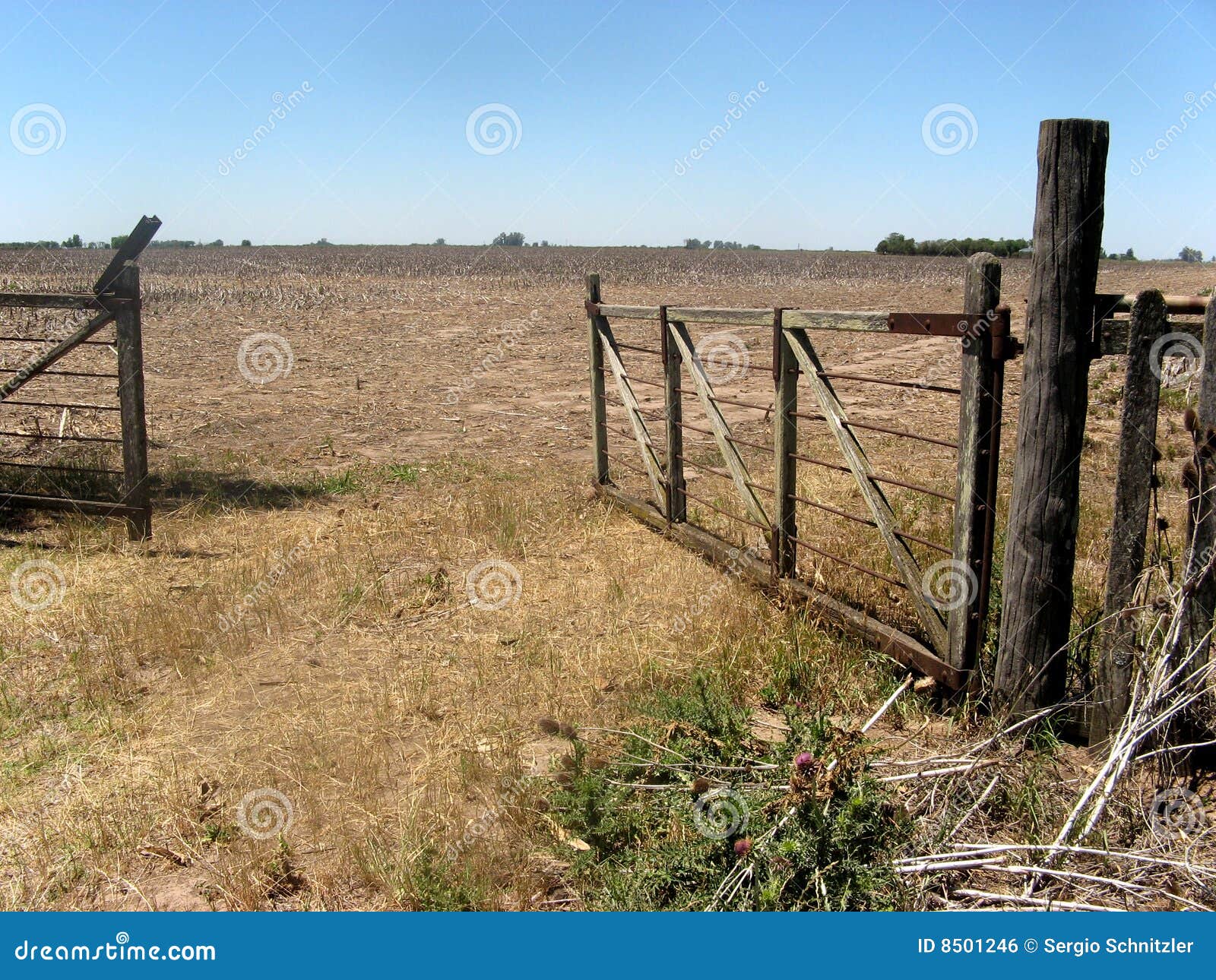 Open Farm Gate Royalty Free Stock Image - Image: 8501246