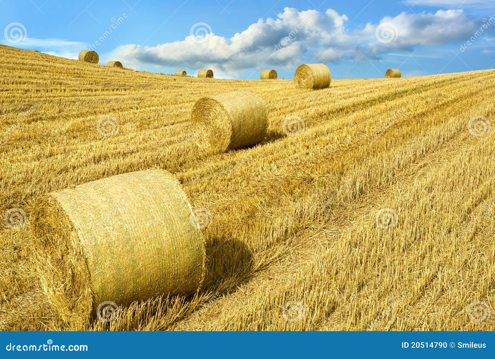 Open farmland stock photo. Image of open, harvest, hill - 20514790