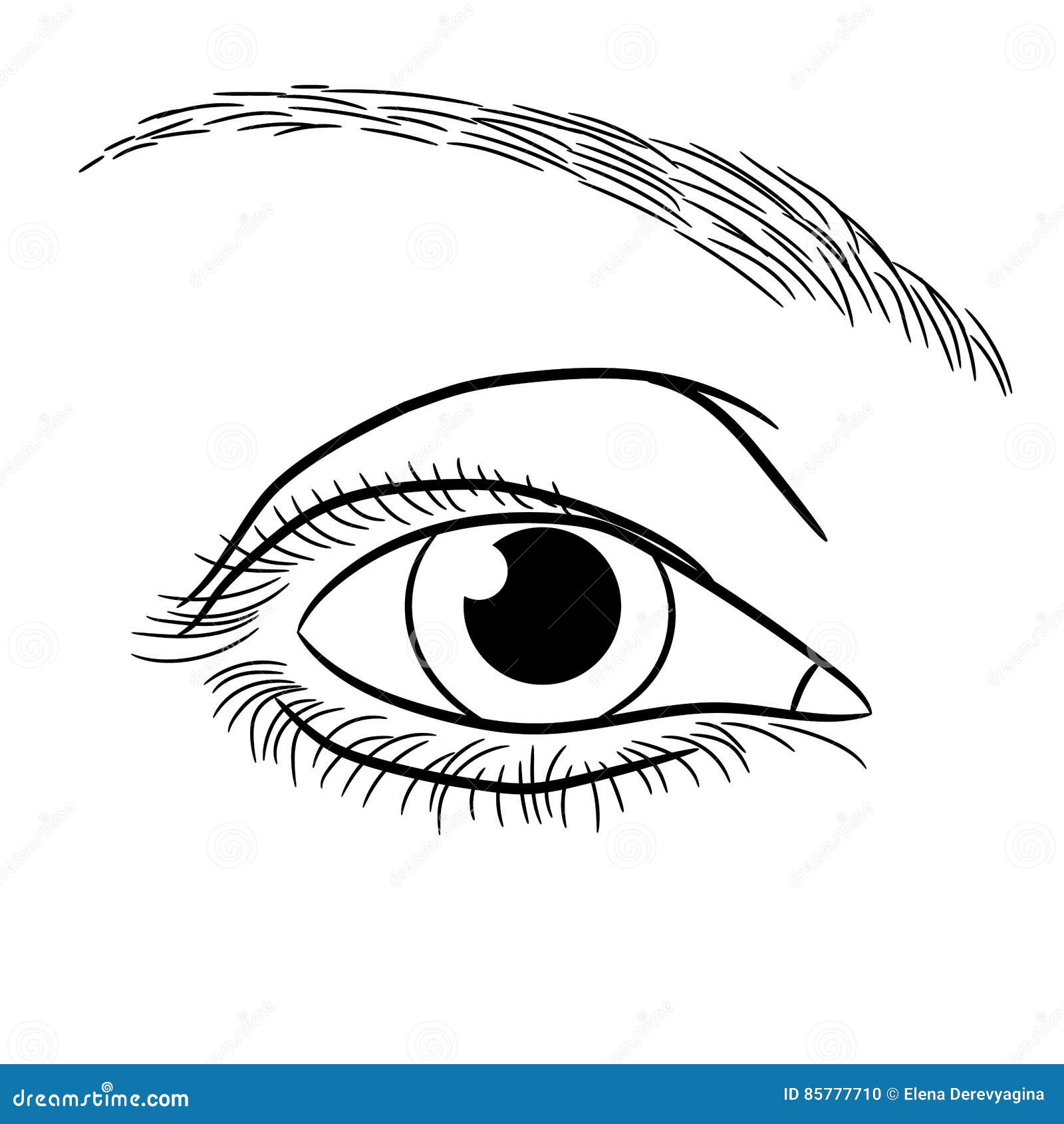 Open Female Eye Monochrome Vector Illustration Stock Vector ...