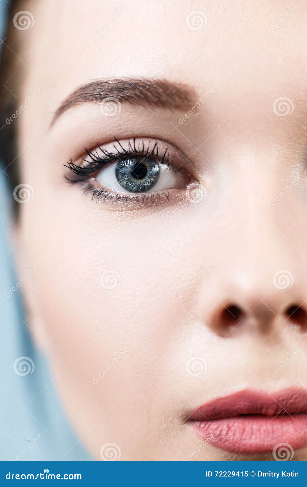 Open Female Gray Eye with Makeup Stock Image - Image of beauty, open ...