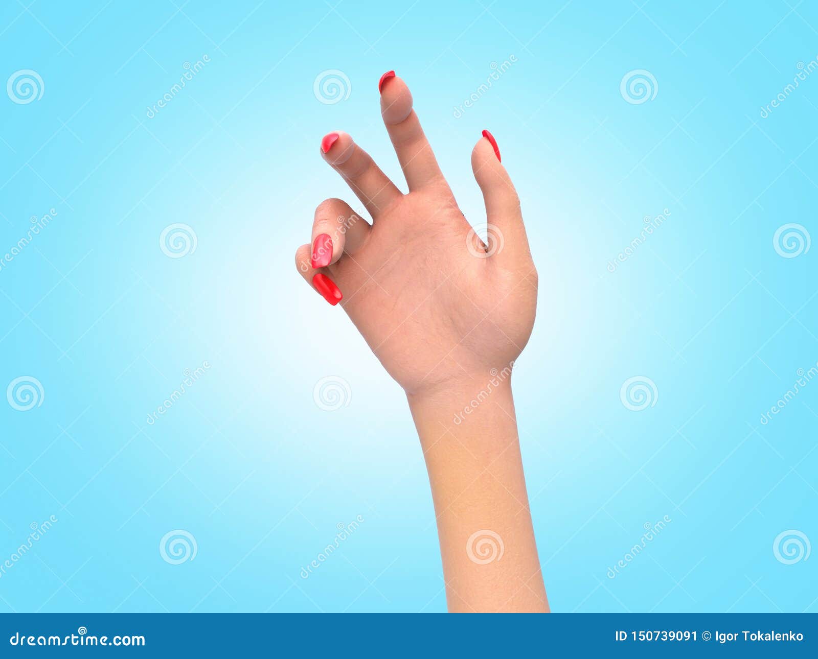 Open Female Hand in a Static Pose 3d Render on Blue Gradient Stock ...