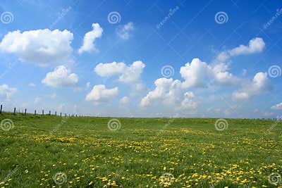 Open field stock photo. Image of meadow, blue, empty, summer - 110468