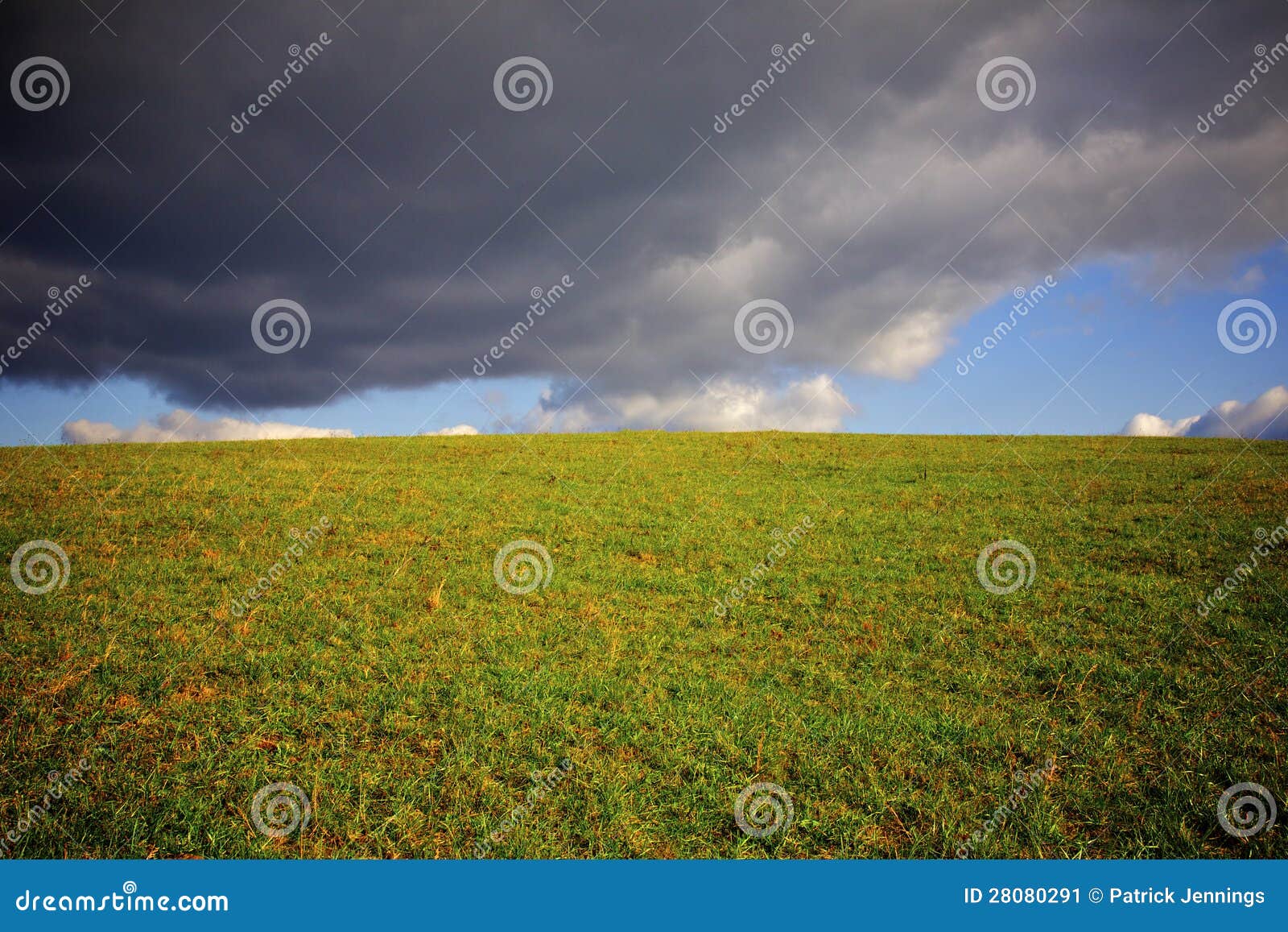 Open Field stock image. Image of environment, landscape - 28080291