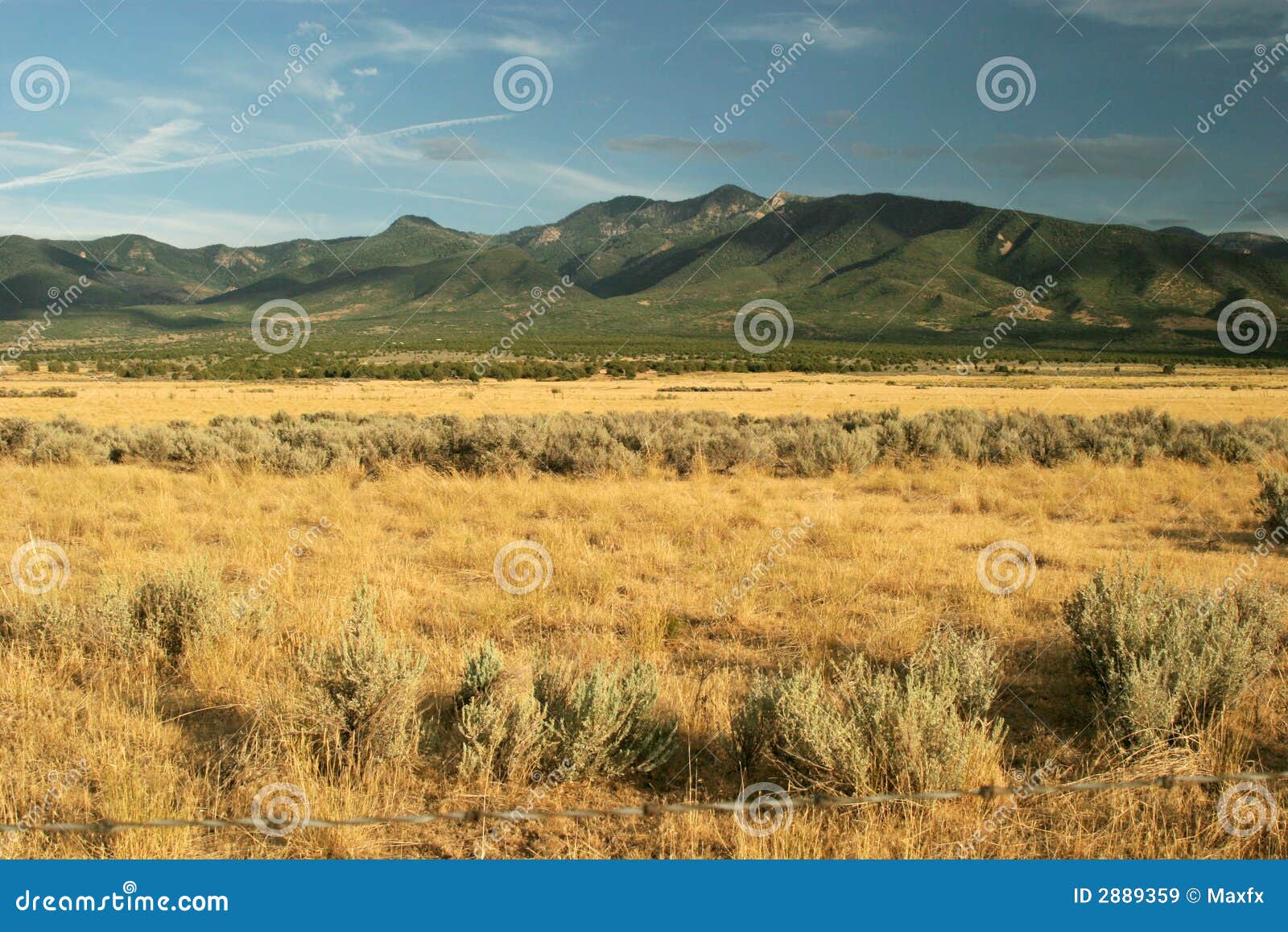 Open field stock image. Image of landscape, agriculture - 2889359