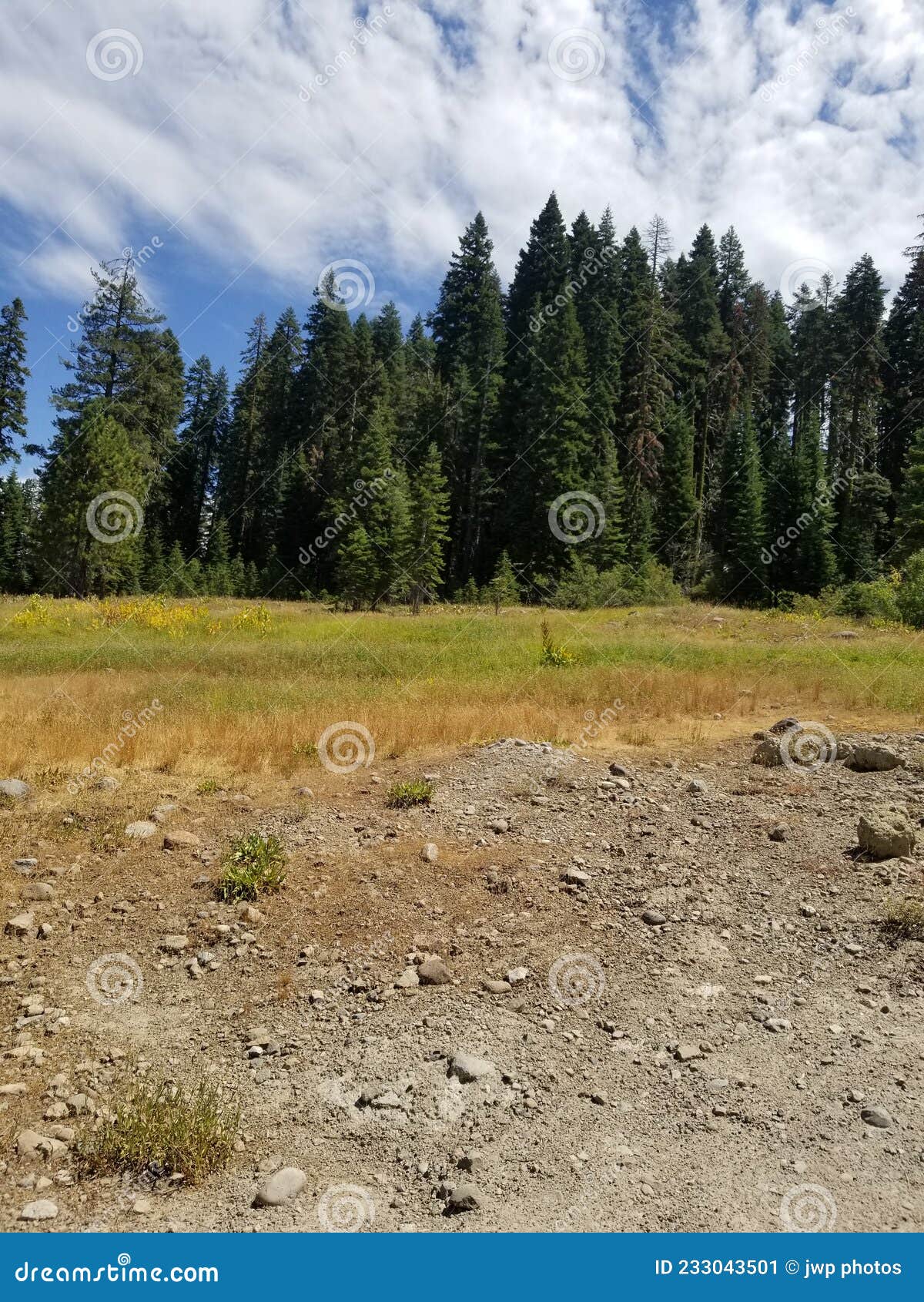 Open Field in California Mountains Stock Image - Image of green, open ...