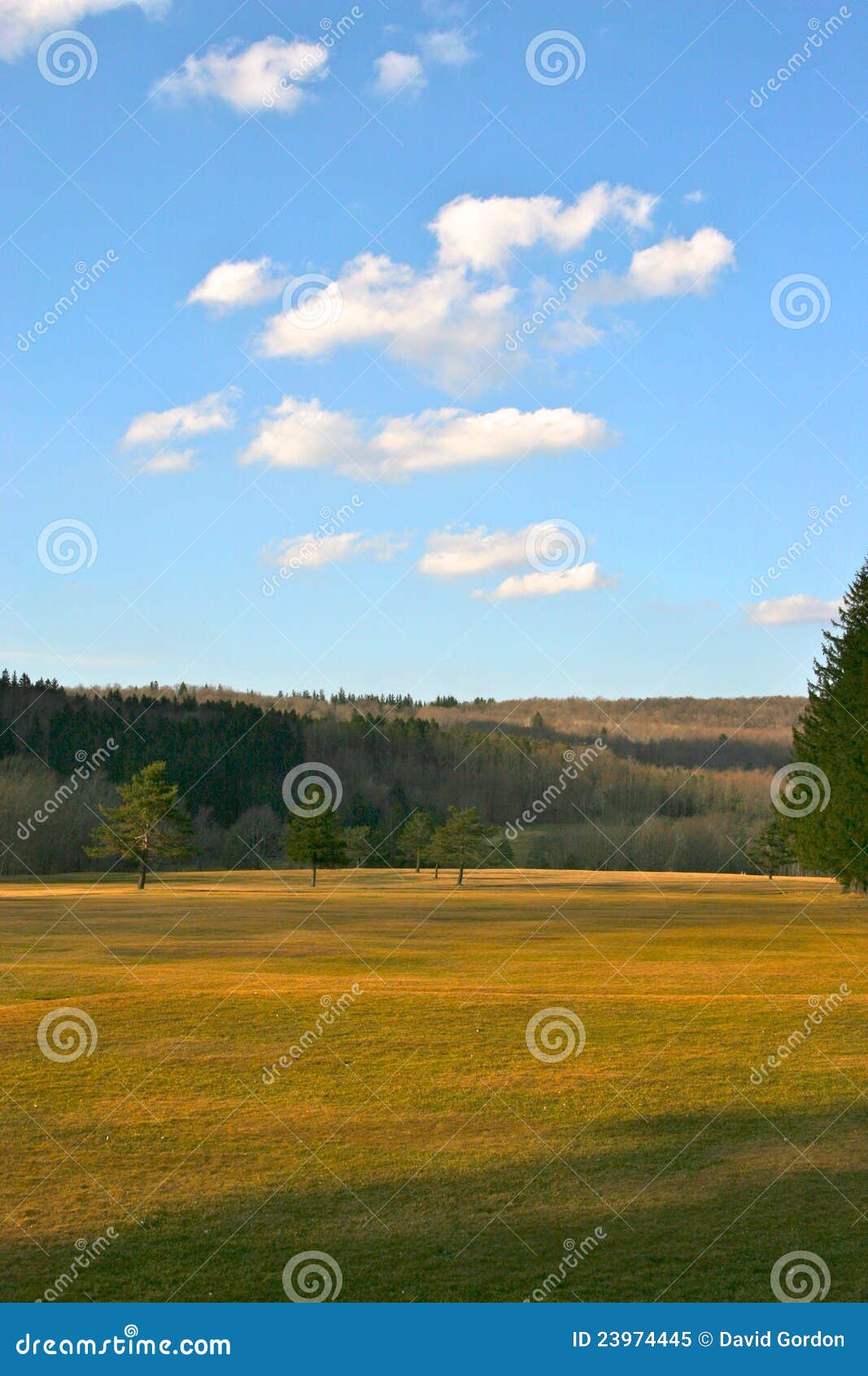 Open field and Clear Sky stock image. Image of tranquil - 23974445