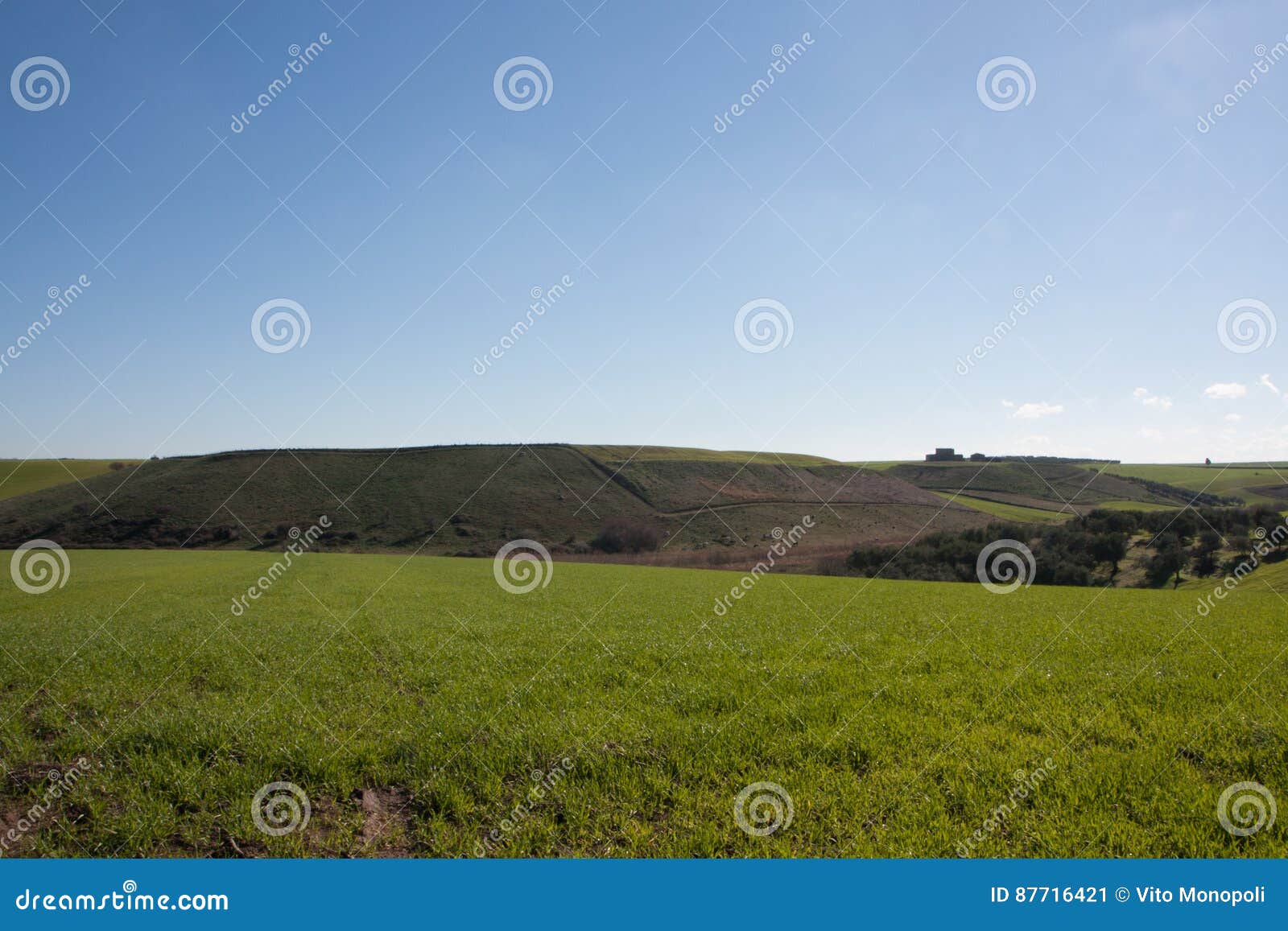 Open Field in Countryside in Spring Stock Image - Image of space ...