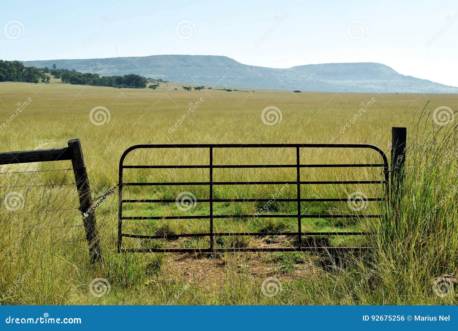 Open field entry stock photo. Image of green, nature - 92675256