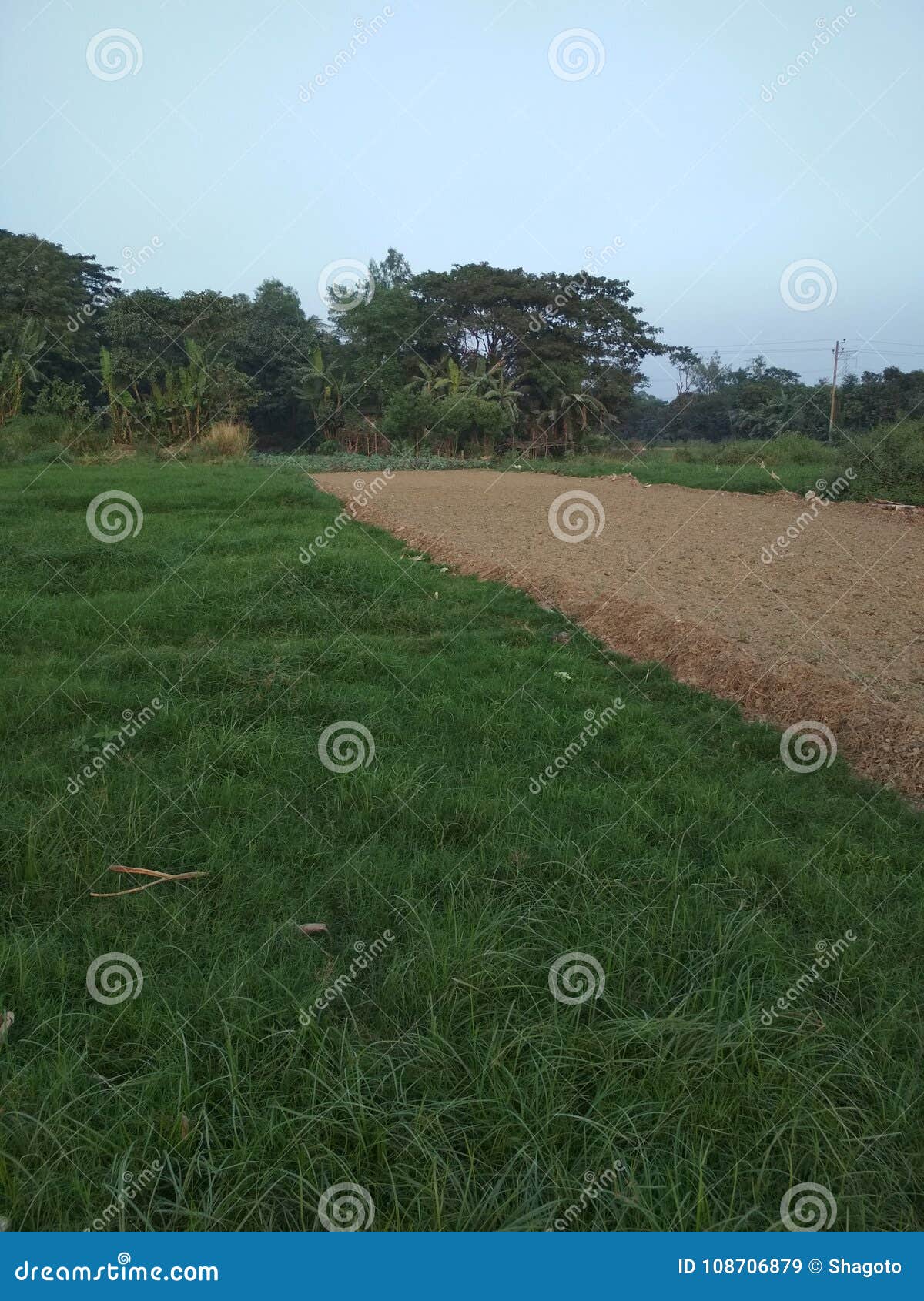 Open field stock image. Image of grass, green, trees - 108706879