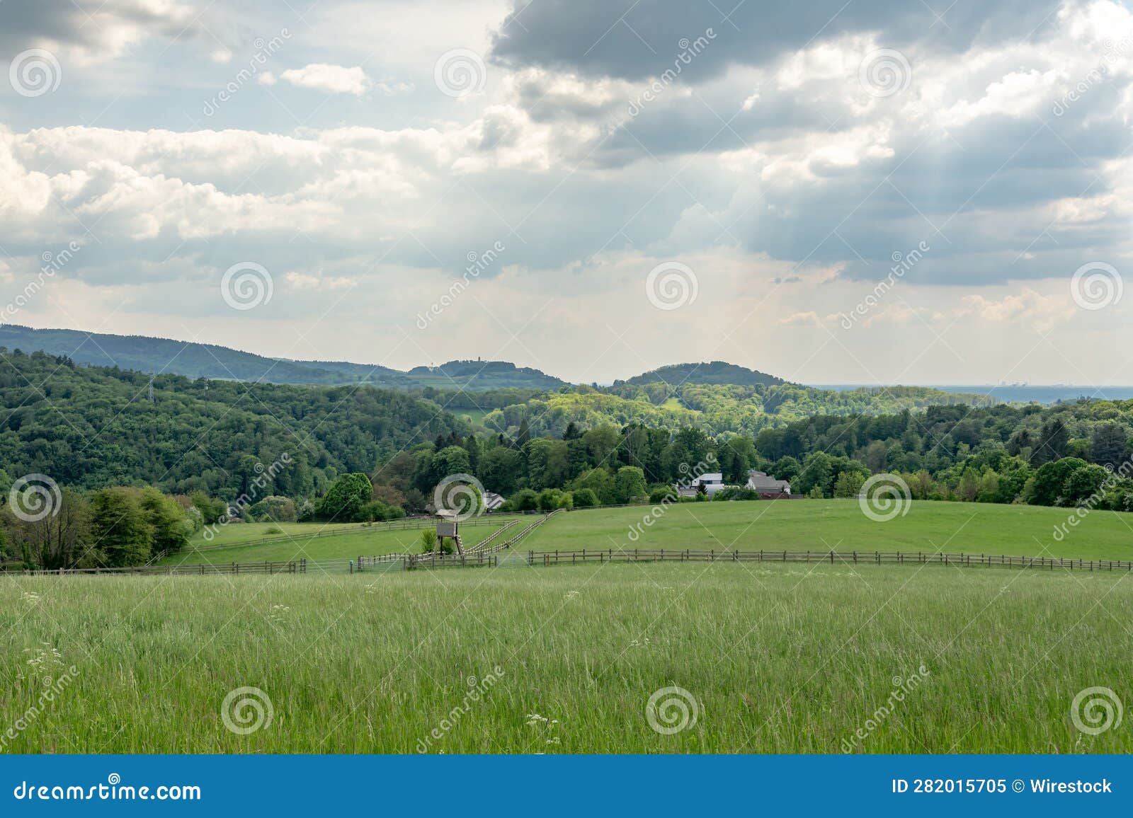 An Open Field with Green Trees and Grass in the Foreground Stock Image ...