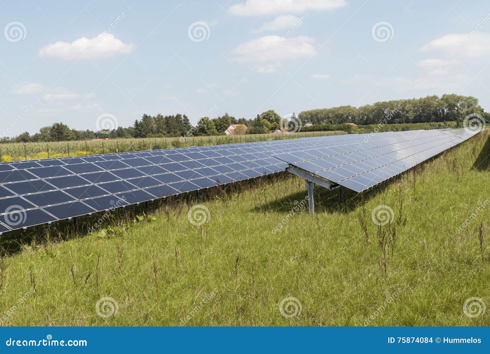 Open Field Solar Power System Stock Photo - Image of panels, farming ...