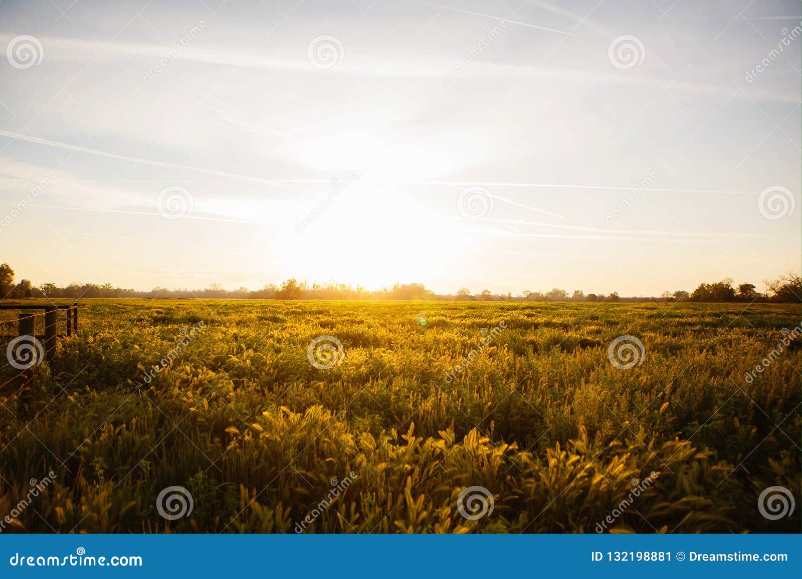 Open field stock image. Image of summertime, field, landscape - 132198881