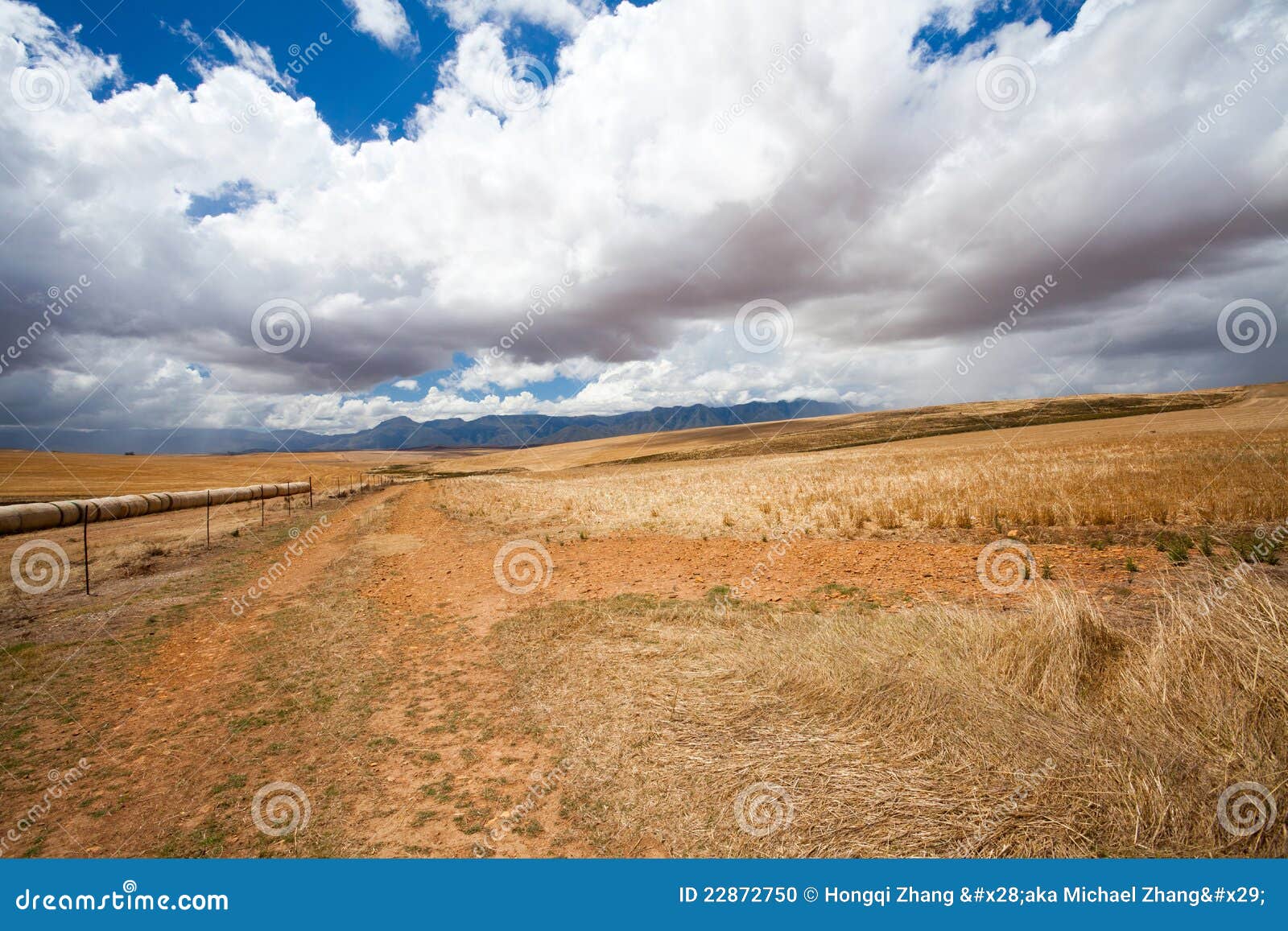 Open field in Western Cape stock photo. Image of cape - 22872750