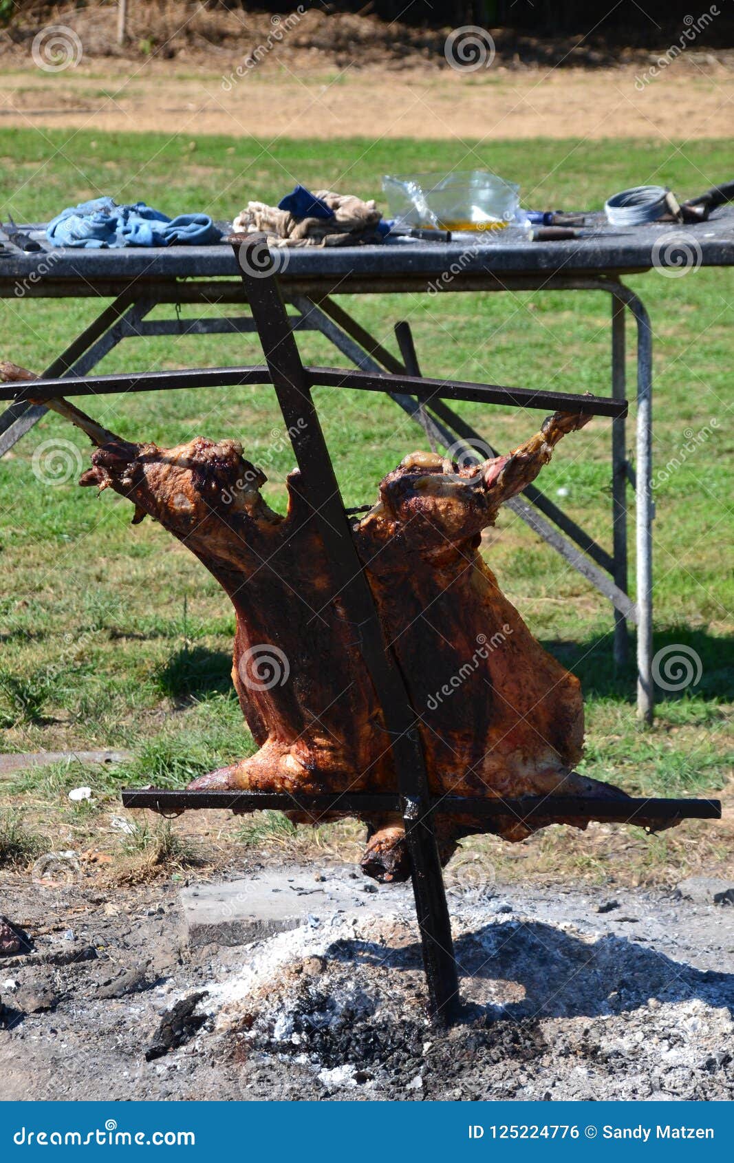 A Lamb Being Cooked on an Open Fire BBQ Stock Photo - Image of survival ...